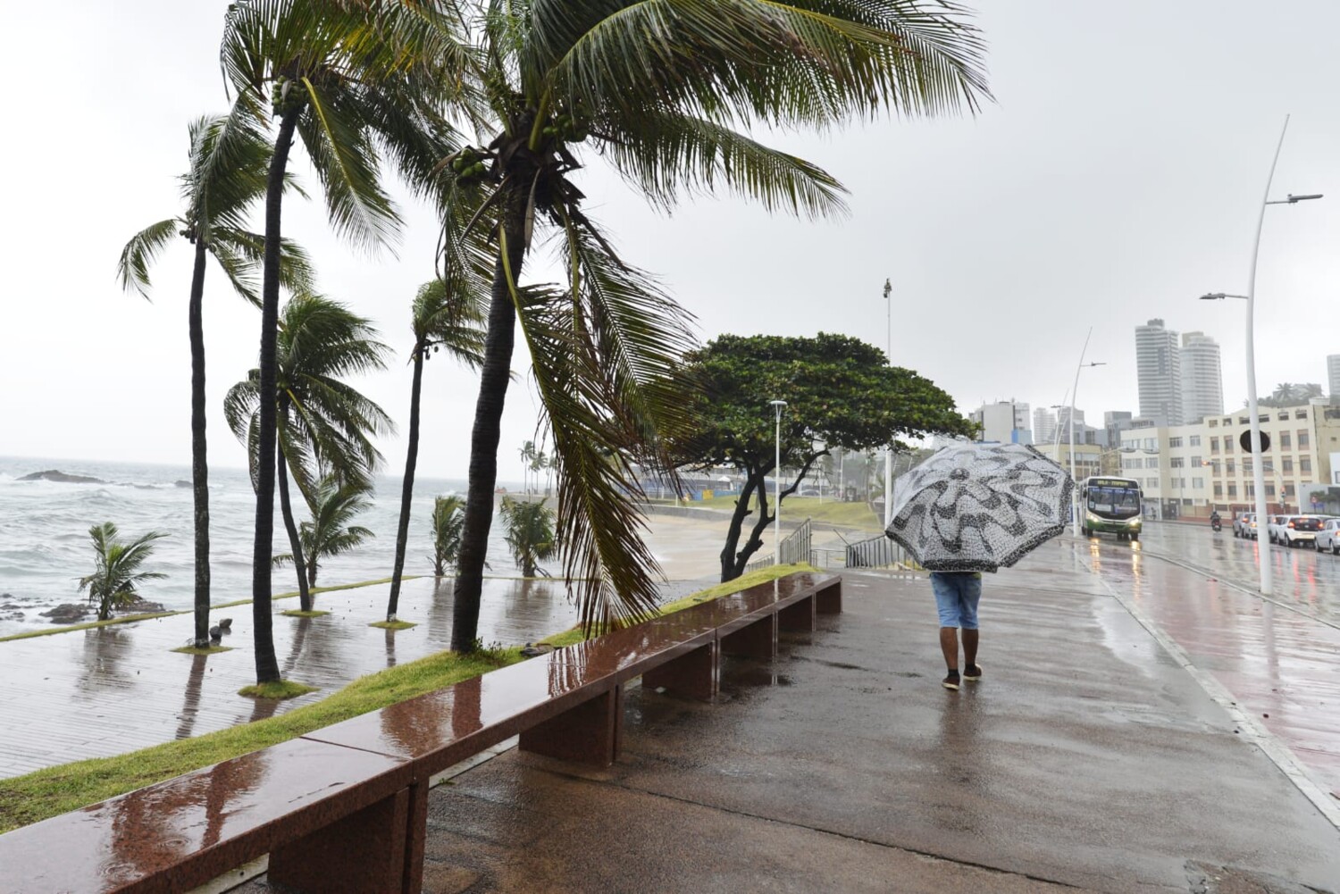 Com ou sem greve de buzu em Salvador, quem perde é o peão, pai ...