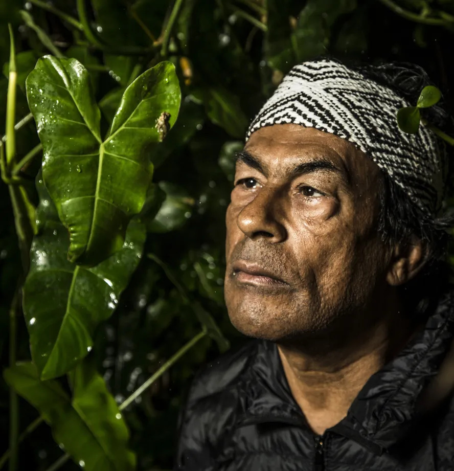 Ailton Krenak é o primeiro indígena eleito a ocupar cadeira na ABL ...