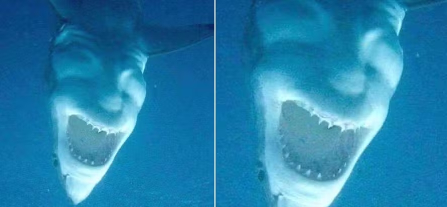 Veja a imagem! Lataria do 'Diabo' aparece no fundo do mar | Portal Massa
