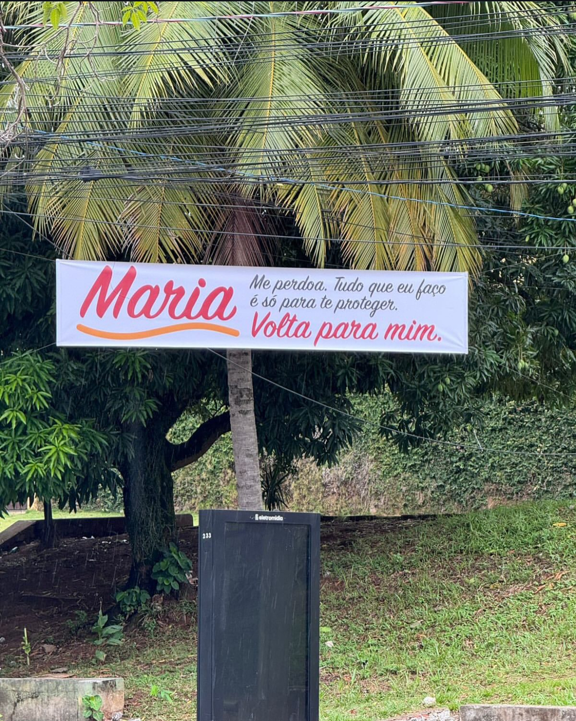 Homem arrependido? Saiba quem é "Maria" de faixas espalhadas em ...