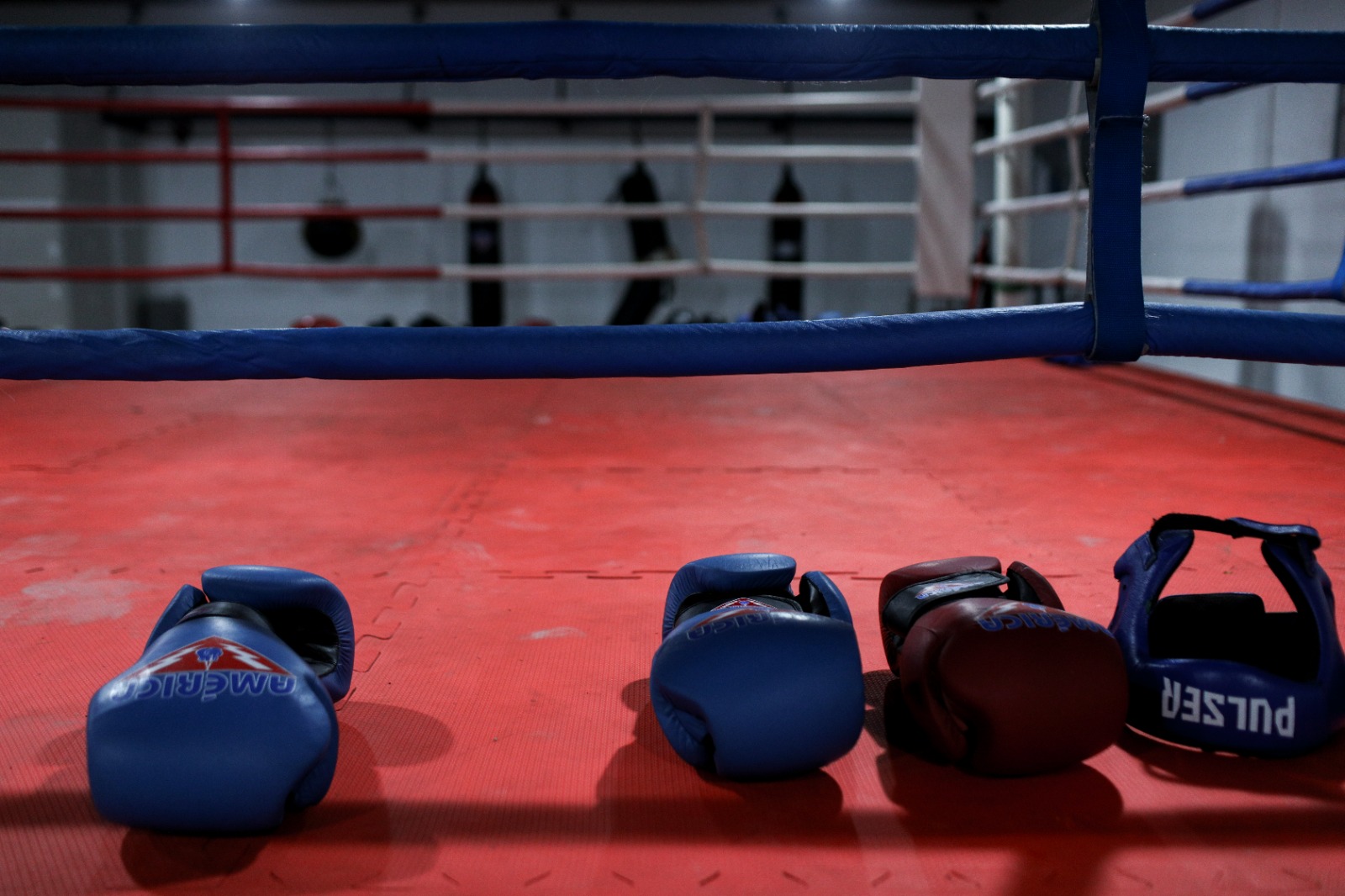 Projeto social de boxe transforma vidas e forma campeões em São ...