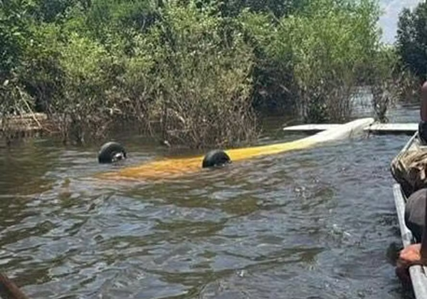 FAB para na marra aeronave que vinha de forma ilegal para o Brasil ...